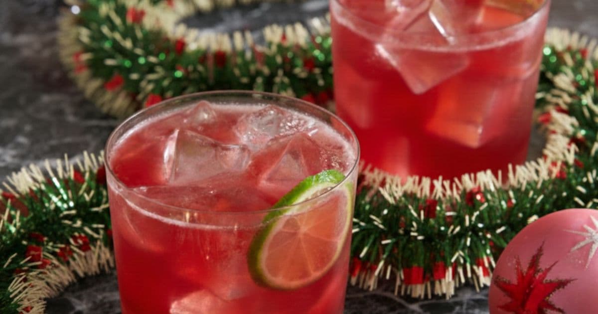 Surf Rider New Year’s Eve Punch Recipe – Yum Cha Tea Company